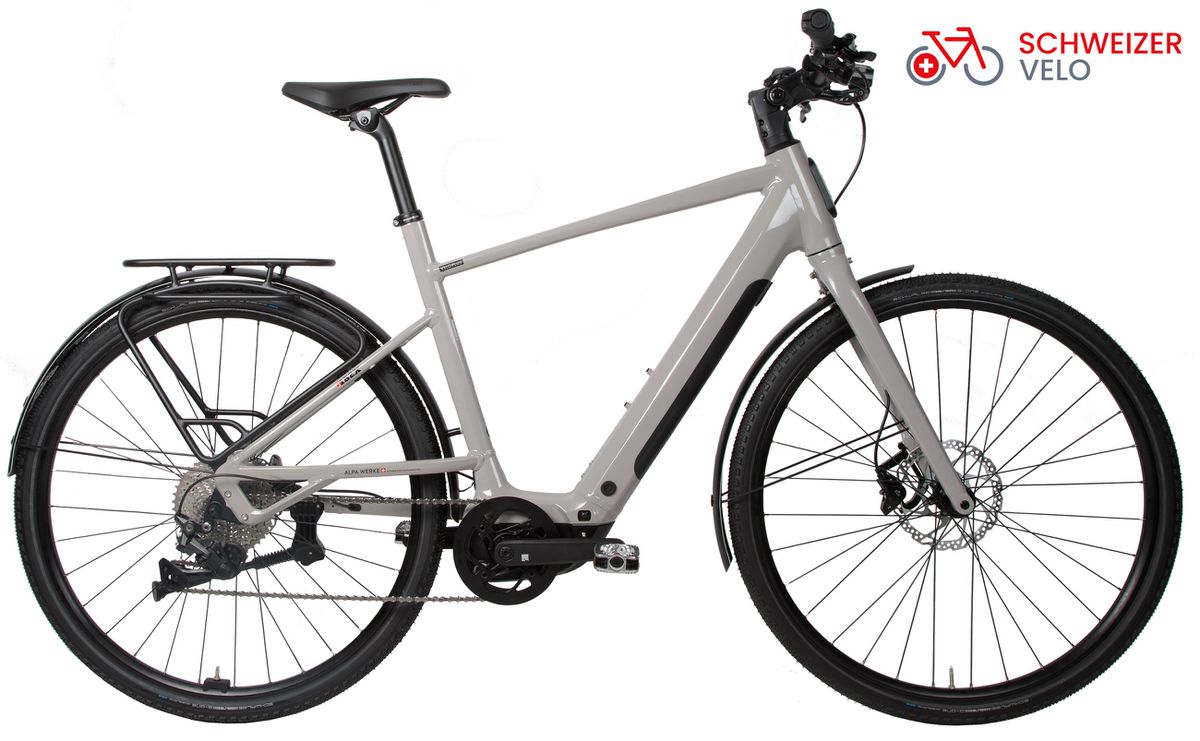 EJUNGLE HERO GTS E-City- und Alltagsvelo / Ash glanz pure / 56cm