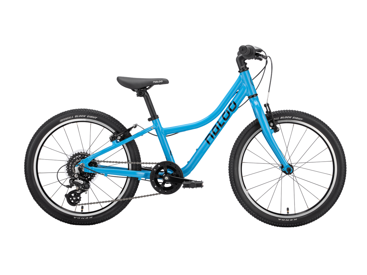 CHAMELEON 20 ZOLL MK2 Kindervelo / light blue / 20 ZOLL